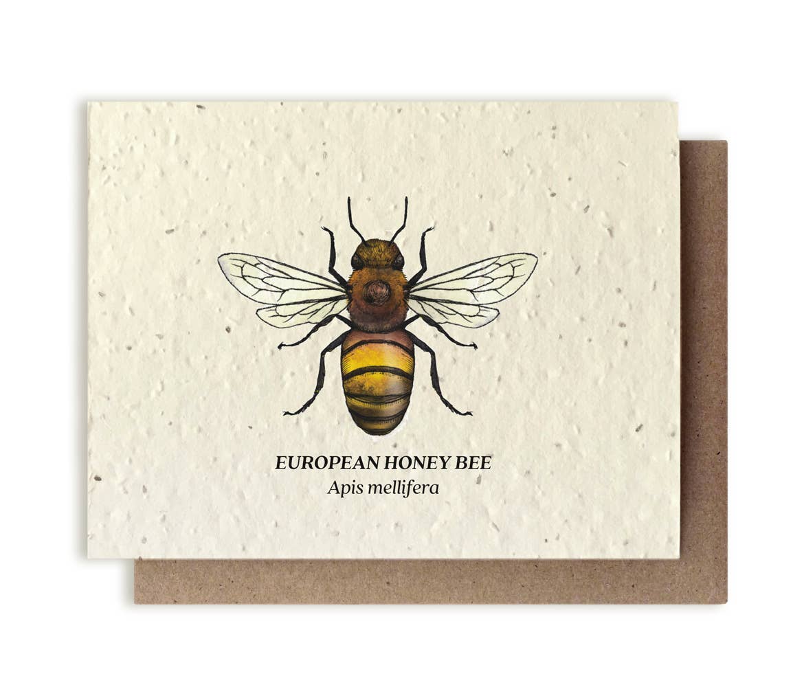 Honey Bee Plantable Wildflower Seed Card | Callista